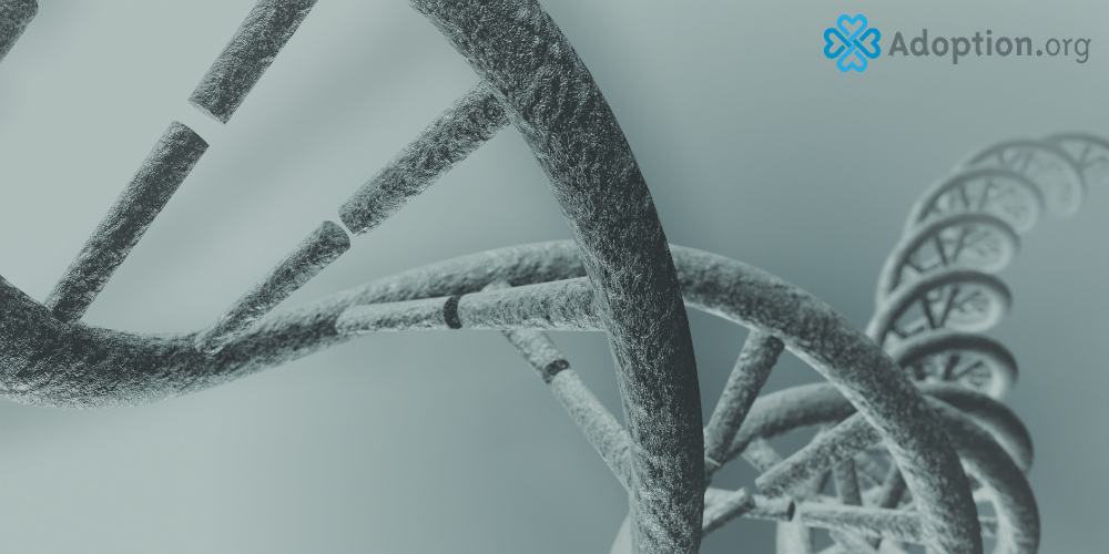 How Can I Use a DNA Test to Find My Birth Family? | Adoption.org