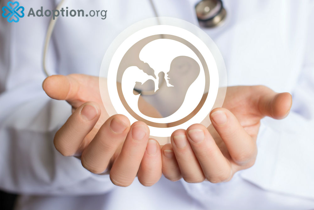 So What Is Embryos Adoption? | Adoption.org